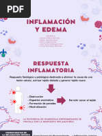 Ficha Técnica Quantrel | PDF | Medicamentos con receta | El embarazo
