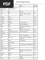 Romani Glossary of Terms Explained | PDF | Romani People | Romani