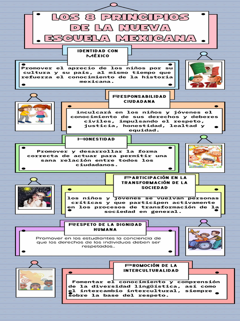 Infografia de 8 Principios de La NEM. | PDF