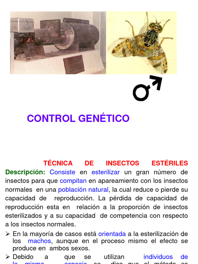Control Genético | PDF | Insectos | Reproducción