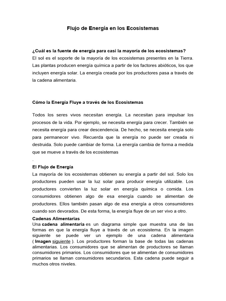Flujo de Energía en Los Ecosistemas 6to B | PDF | Red alimentaria ...