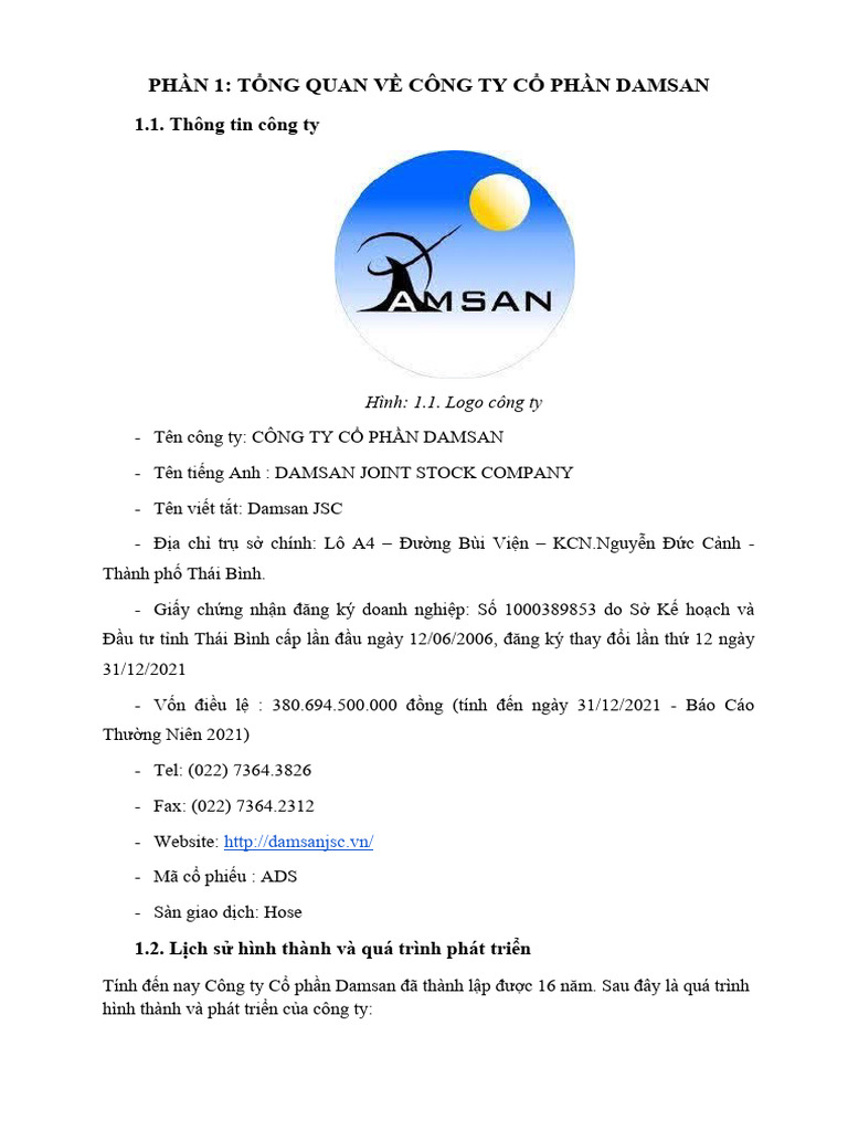 Phân-tích-tài-chính-công-ty-DAMSAN-1 | PDF