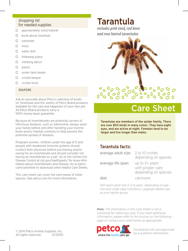 Caresheet Tarantula 2016 | PDF
