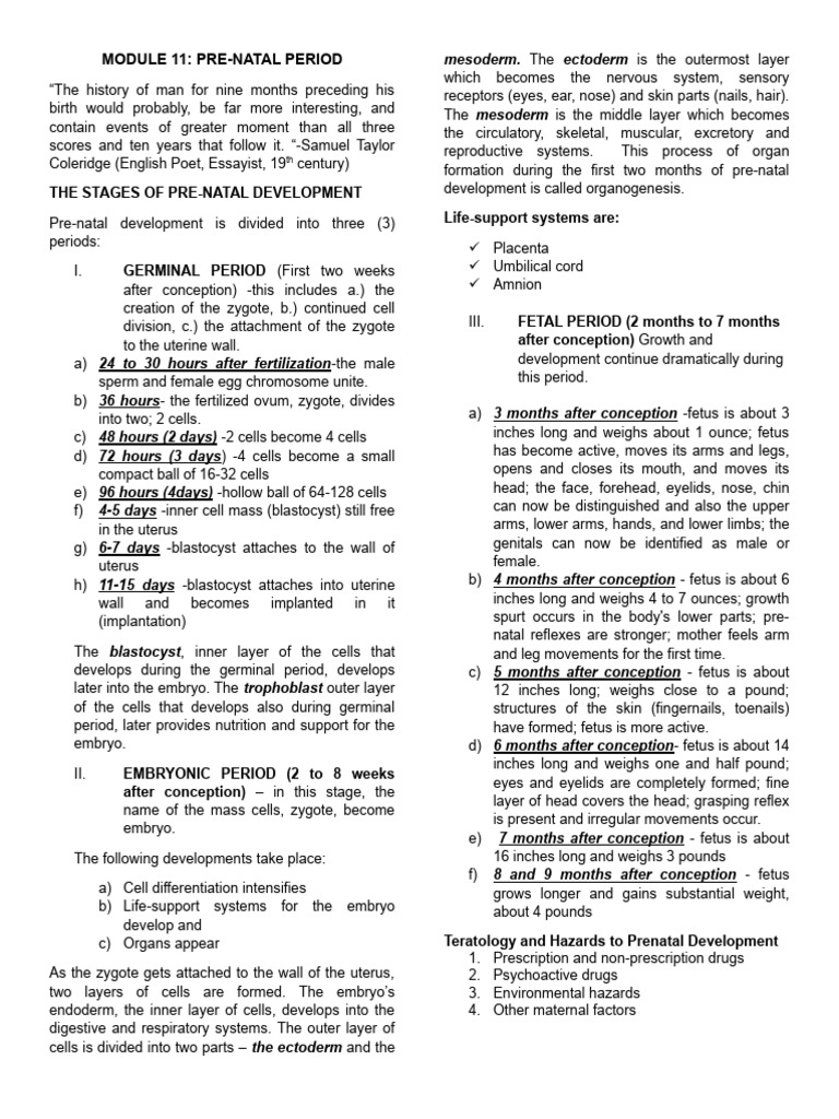 Module 11 Prenatal Period | PDF | Prenatal Development | Embryo