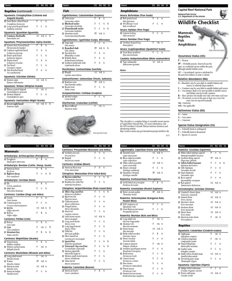 Capitol Reef Wildlife Checklist | PDF | Frog | Hare