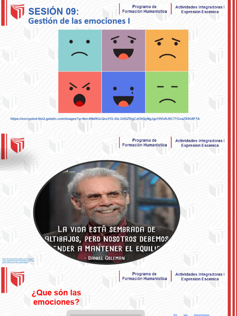 Ppt. Sesion 09 | PDF | Las emociones | Ira