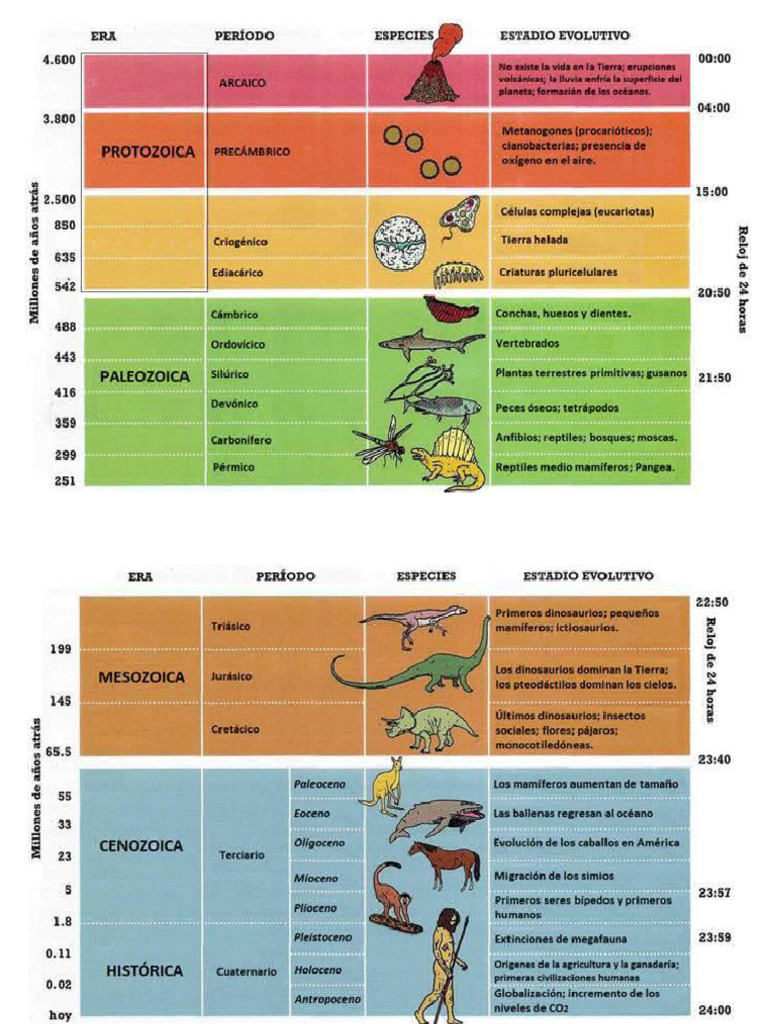 Periodos Geológicos | PDF