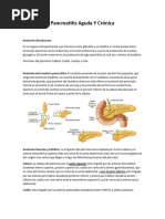 Eurytrema Pancreaticum | PDF | Ciencia y matemáticas