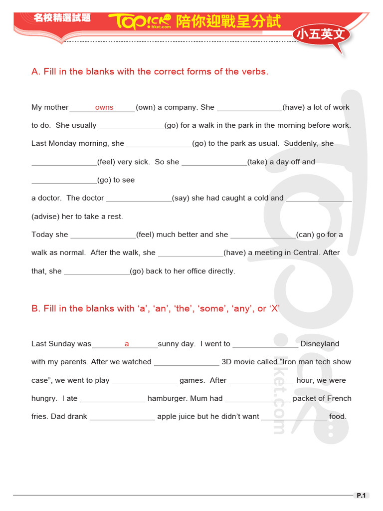 English 5 Exercise | PDF