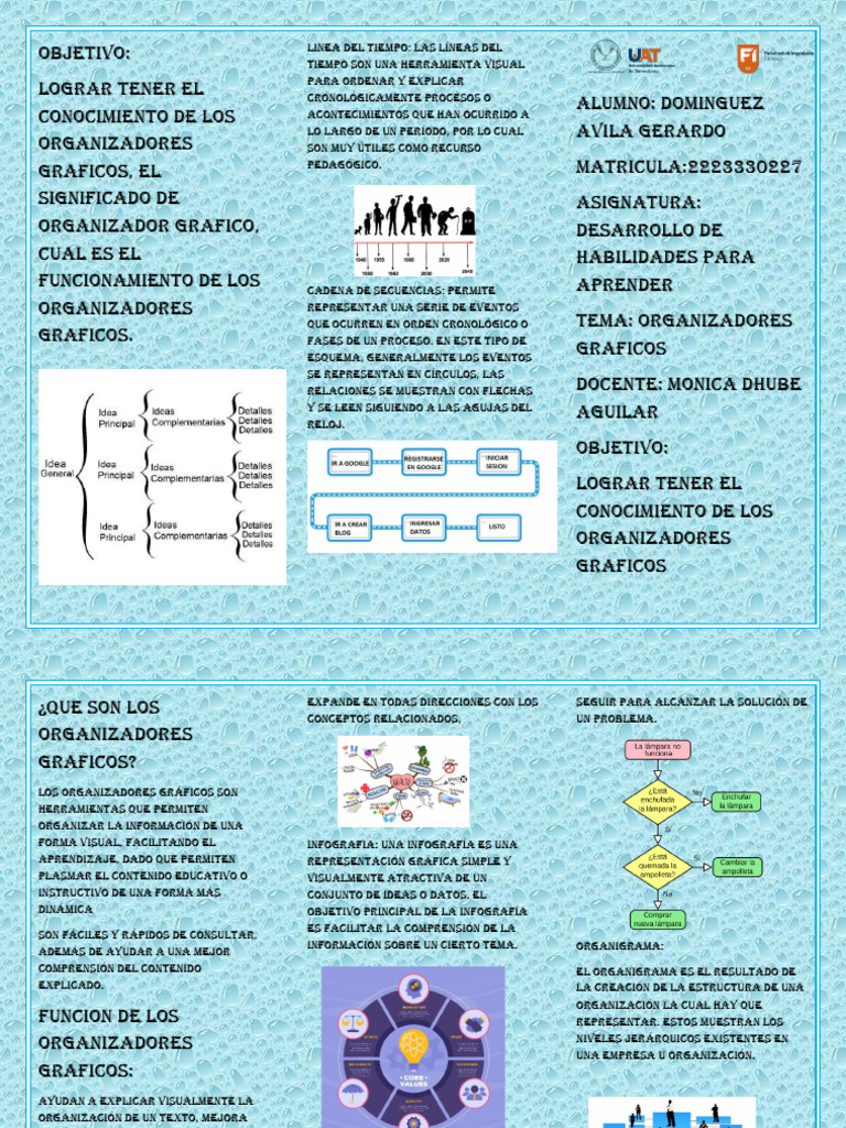 Triptico O.G. (Dominguez Avila Gerardo) | PDF | Aprendizaje | Infografia