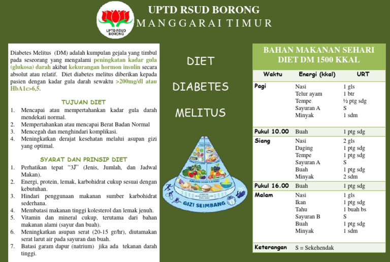 Leaflet Diet DM | PDF