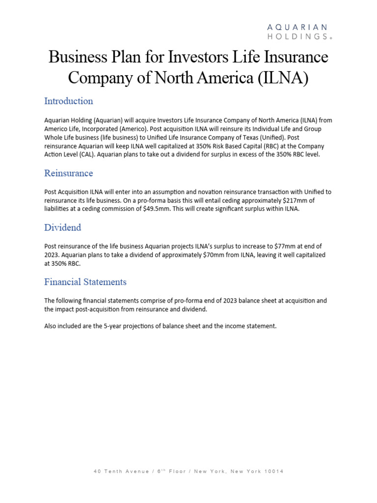 Project Grand Business Plan | PDF