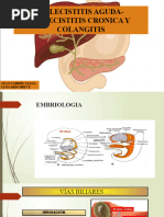Revisión Coledocolitiasis Guías ASGE 2019 | PDF | Sistema digestivo ...