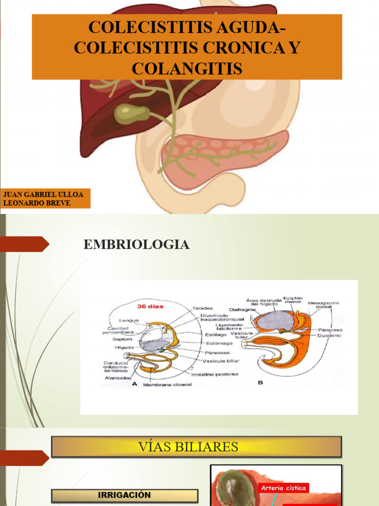 Colecistitis_Colangitis | PDF | Vesícula biliar | Órgano (anatomía)