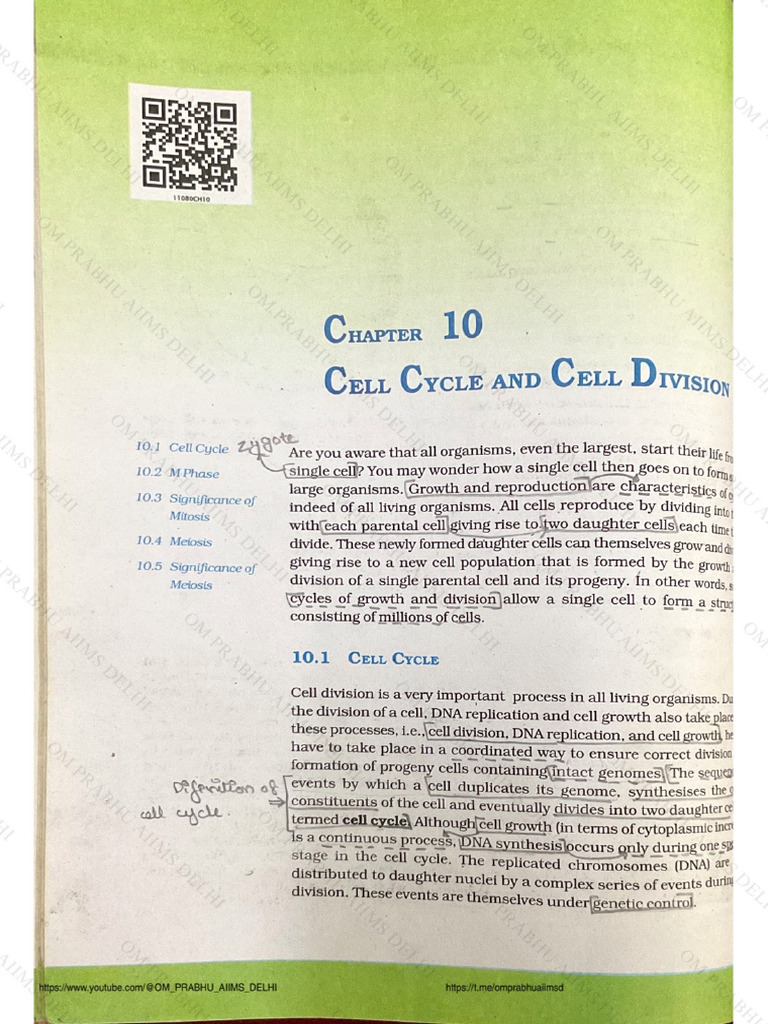 Cell Cycle and Cell Division Ncert Markings Complete Chapter | PDF