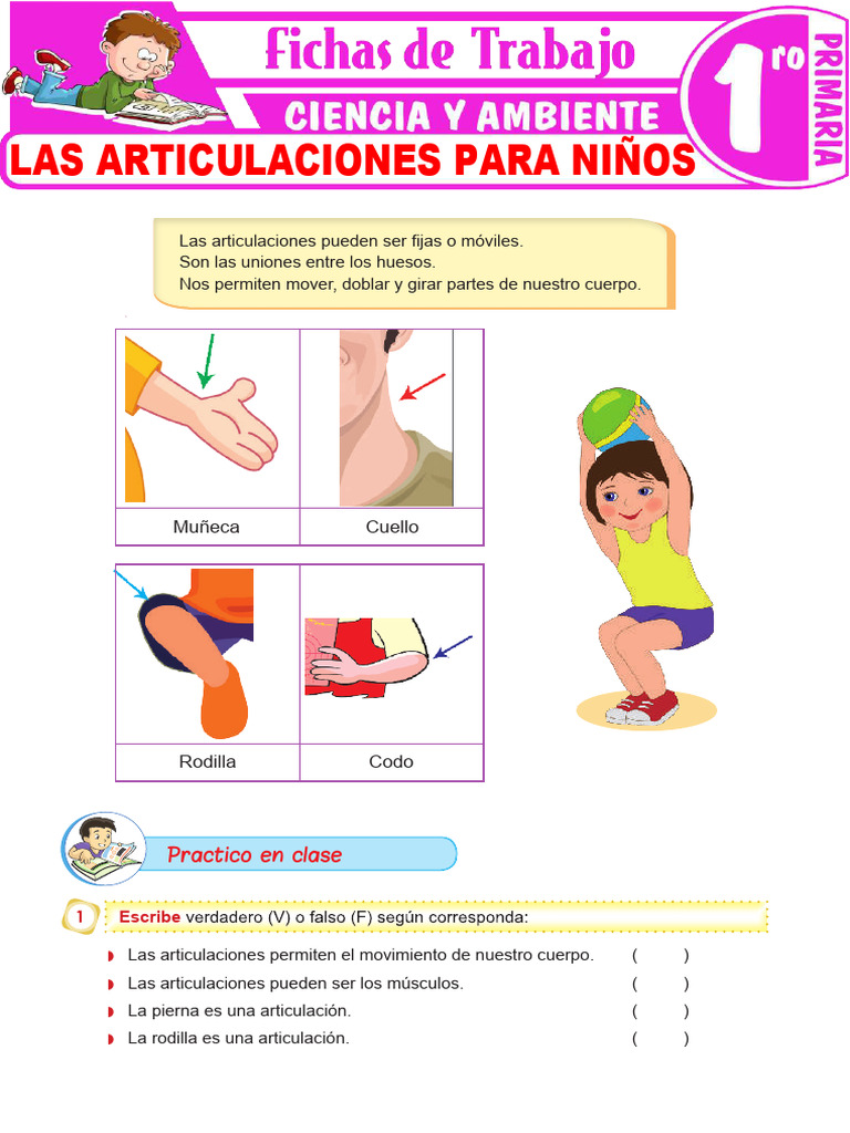 Las Articulaciones para Niños | PDF | Relaciones personales, crianza y ...
