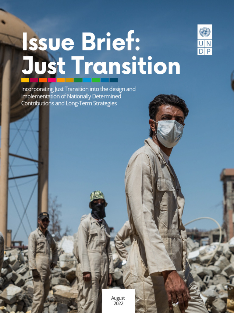 Just Transition Issue Brief | PDF | Climate Change Mitigation | Sustainability