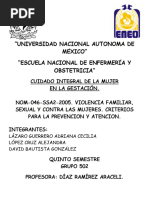 Norma Oficial Mexicana Nom-046-Ssa2-2005. Violencia Familiar, Sexual y Contra Las Mujeres ...