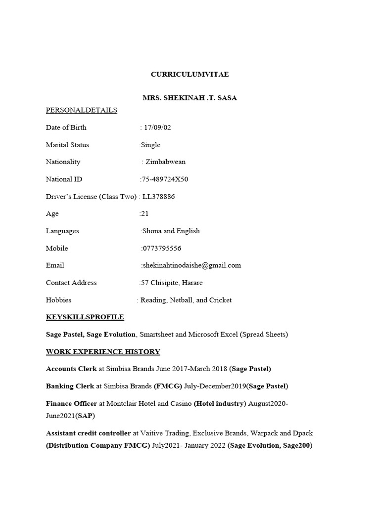 Remy Resume CV | PDF | Bookkeeping | Payments