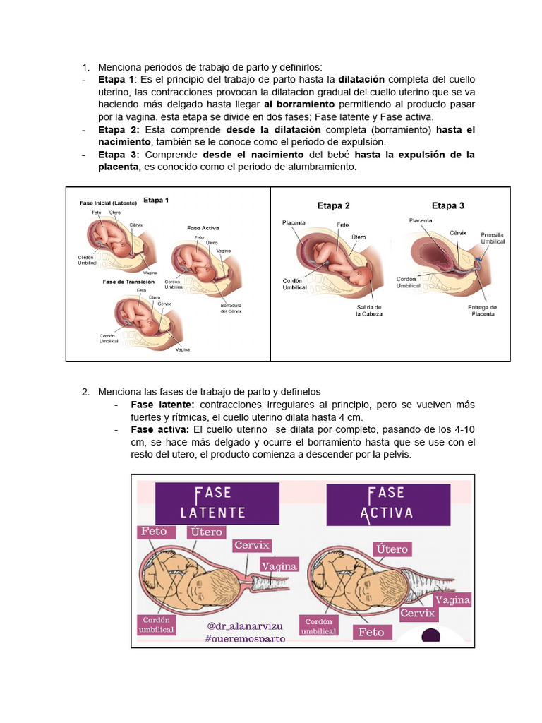 Fases y Movimientos del Trabajo de Parto | PDF | Parto | Feto