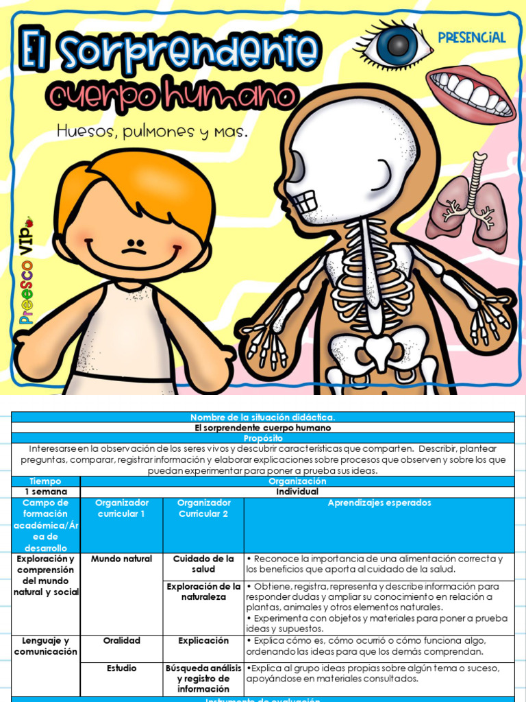 Plan El Sorprendente Cuerpo Humano-1 | PDF | Evaluación | Esqueleto
