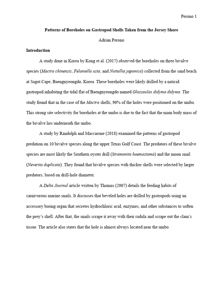 Perono Bore Hole Lab Write-Up | PDF | Bivalvia | Predation
