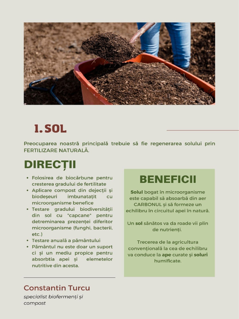 Sol | PDF