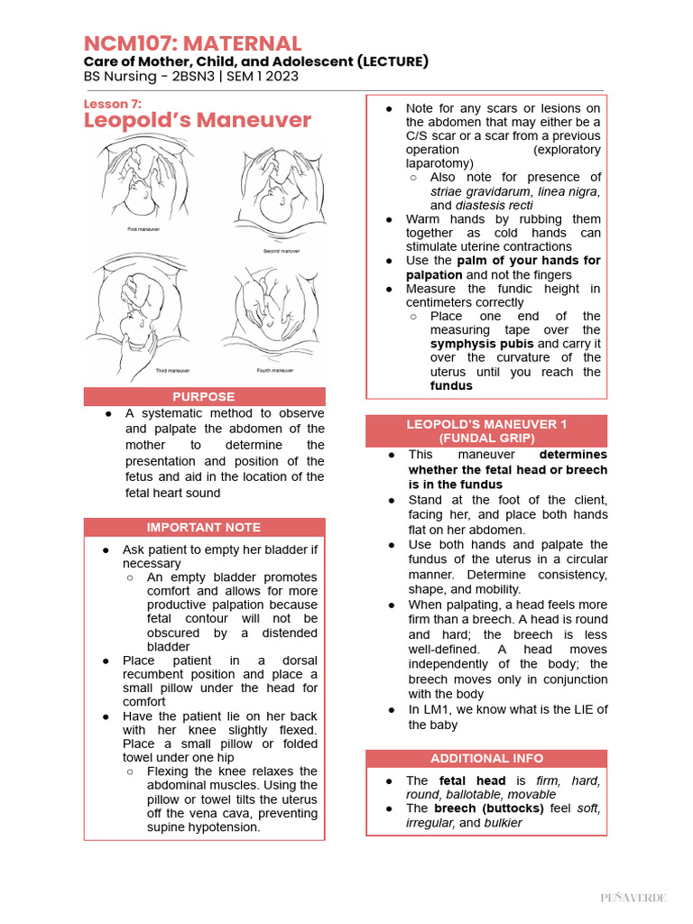 Understanding Leopold's Maneuver | PDF | Pelvis | Human Reproduction