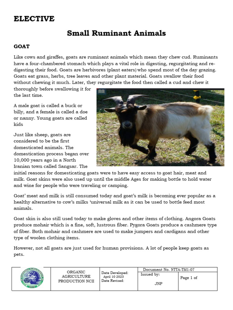 Small Ruminant Animals | PDF | Goat | Ruminant