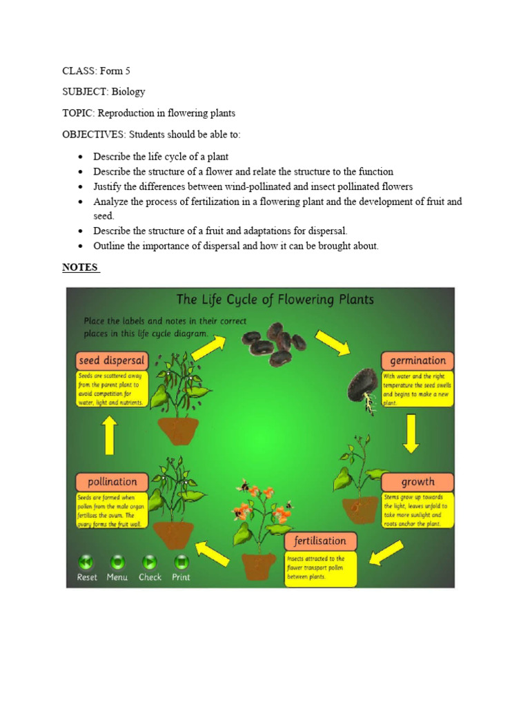 Form 5 Biology Notes - Reproduction in Flowering Plants | PDF | Flowers ...