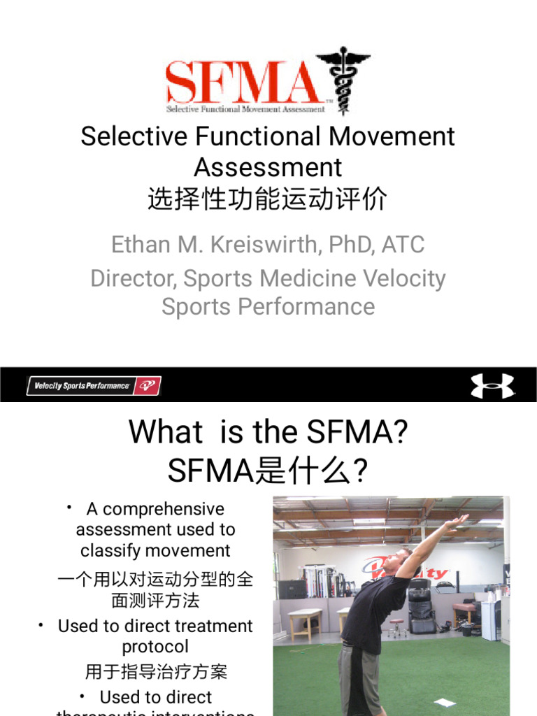 SFMA讲义 | Download Free PDF | Anatomical Terms Of Motion | Shoulder
