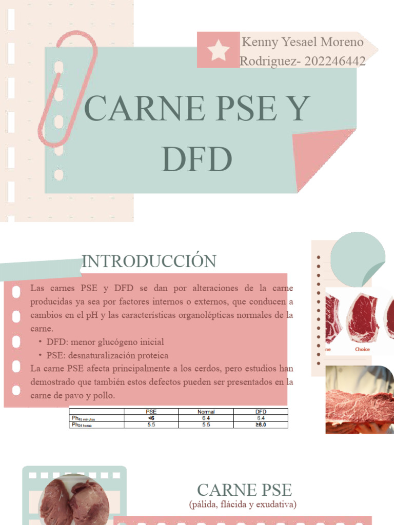 Carne Pse y DFD | PDF | Carne | Estrés (biología)