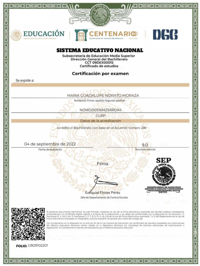 Certificado de Estudios - Maria | Descargar gratis PDF | Plan de estudios