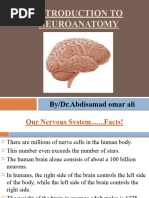 Pyramidal vs Extrapyramidal Tracts | PDF | Neuroscience | Neuroanatomy