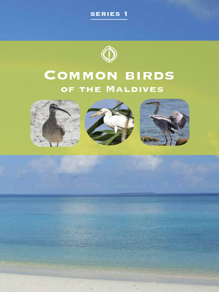 Maldives Bird Guide | PDF | Seabird | Birds