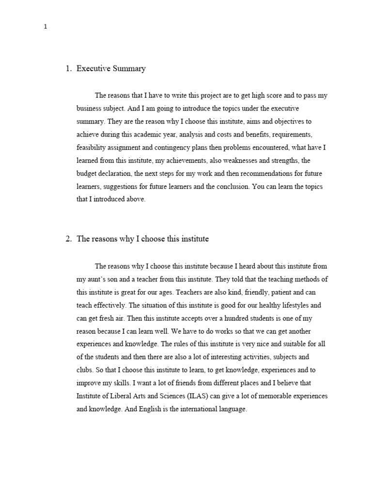 Nhkum Htoi Seng Mai - Business Project | PDF | English Language | Monopoly