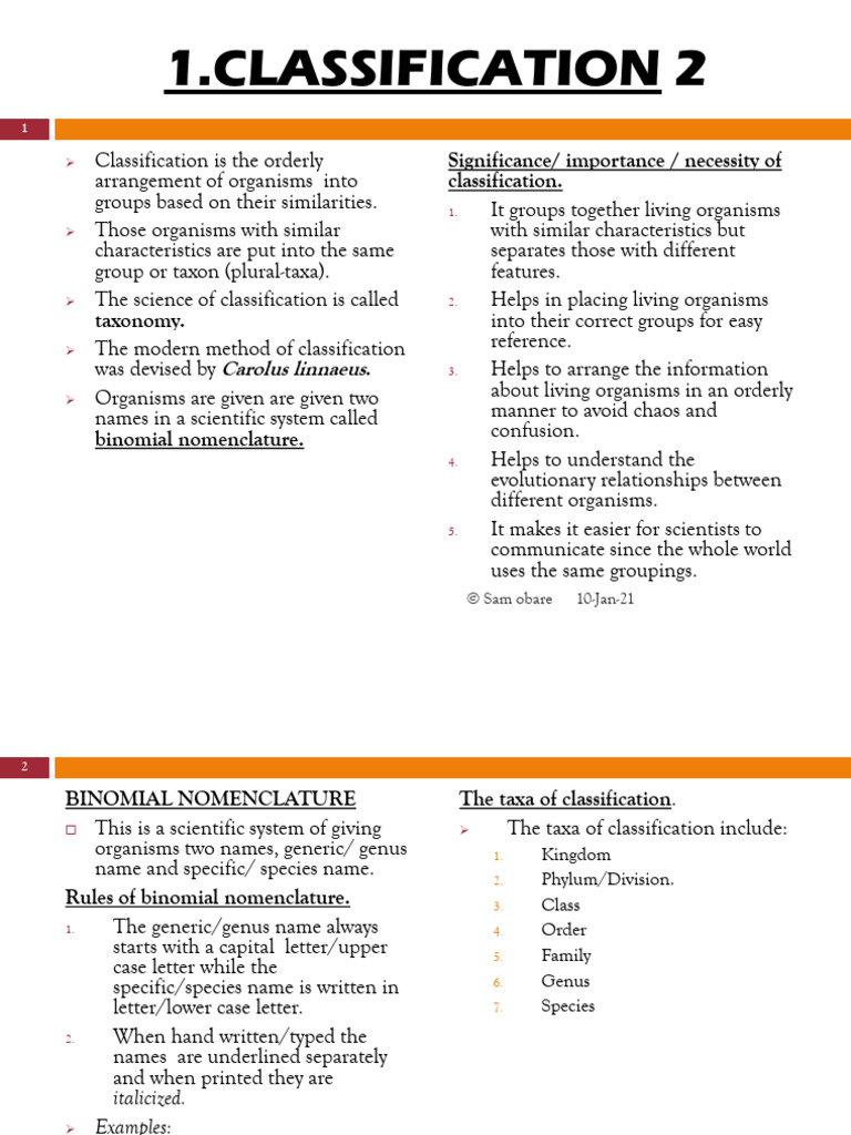 Classification 2 | PDF | Leaf | Fern