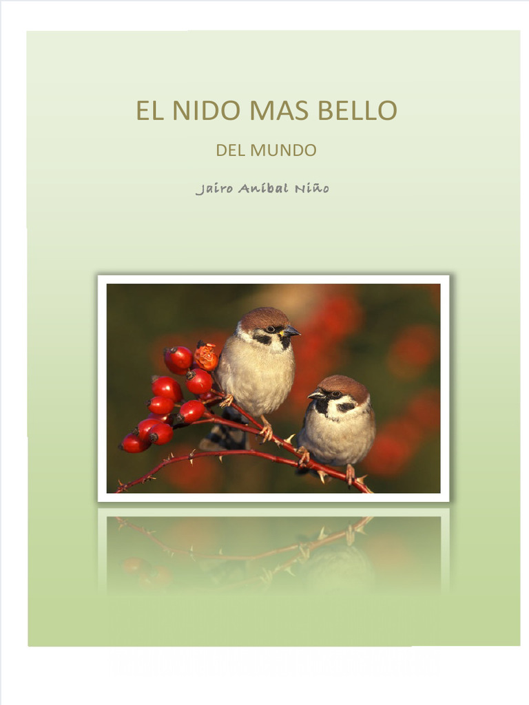 El Nido Mas Bello JairoAnibalNino | PDF