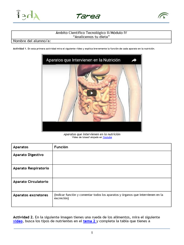 Apellido1 Apellido2 Nombre CT2 Tarea 7 2 | PDF | Dieta | Caloría