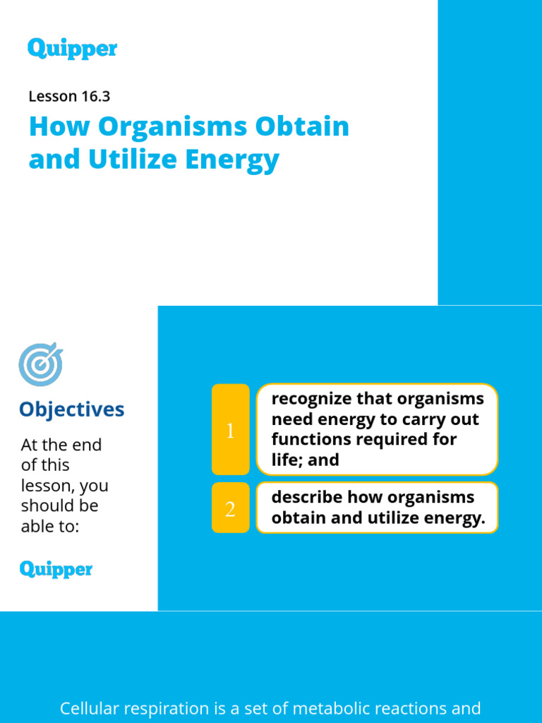 Energy Acquisition in Organisms | PDF | Cellular Respiration | Diet ...