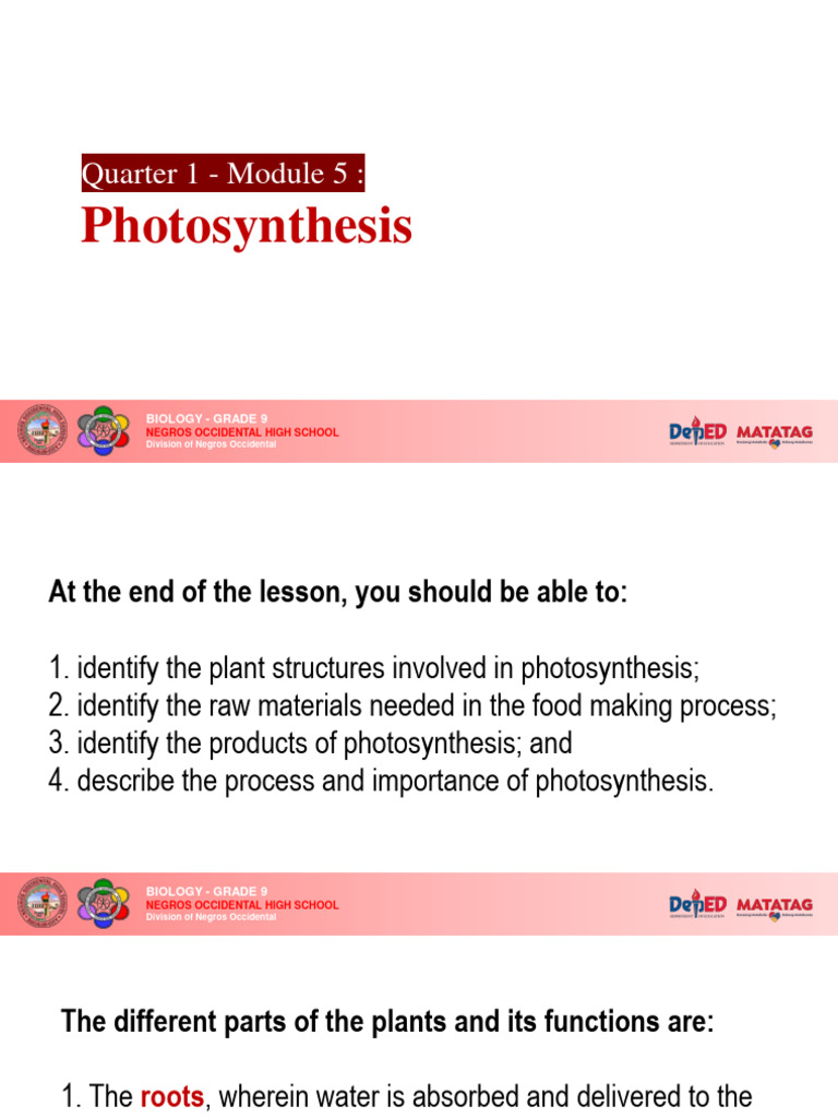 Photosynthesis Grade 9 | PDF | Cellular Respiration | Adenosine ...