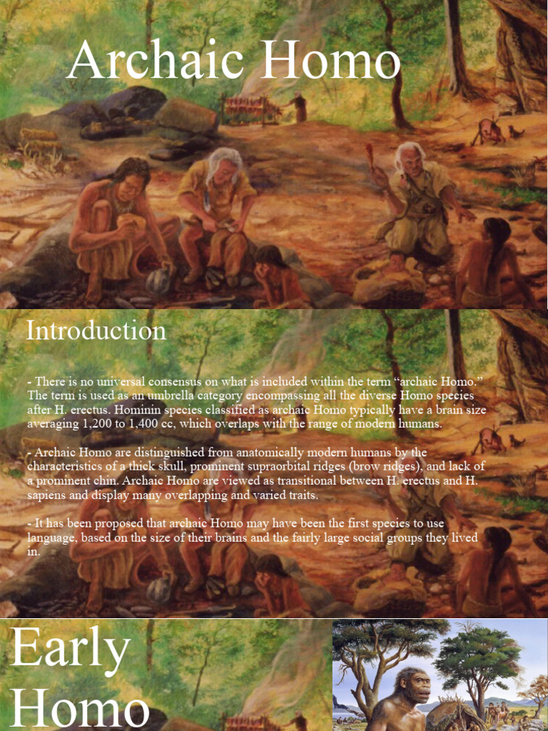 Archaic Homo Presentation | PDF | Homo | Paleoanthropology