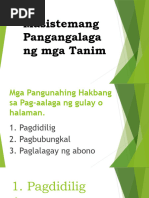 Masistemang Paraan Sa Pagbubungkal NG Lupa, Pagdidilig at Paglalagay NG ...