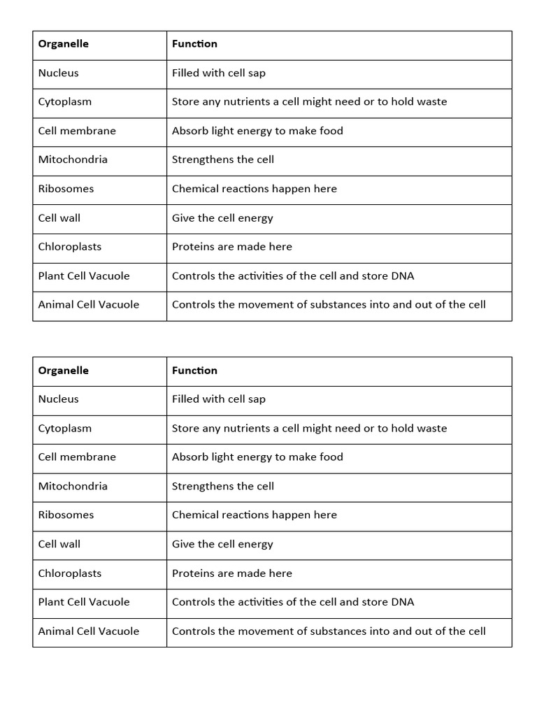 Organelle Function Card Sort | PDF