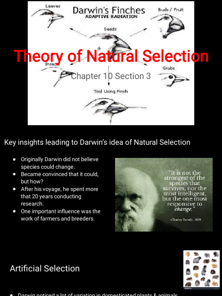 Natural Selection | PDF | Natural Selection | Genetic Variation