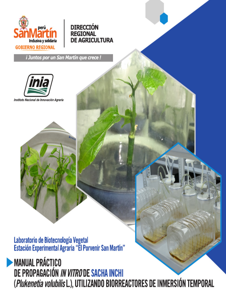 MANUAL PRÁCTICO DE PROPAGACIÓN IN VITRO DE SANCHA INCHI (Plukenetia ...