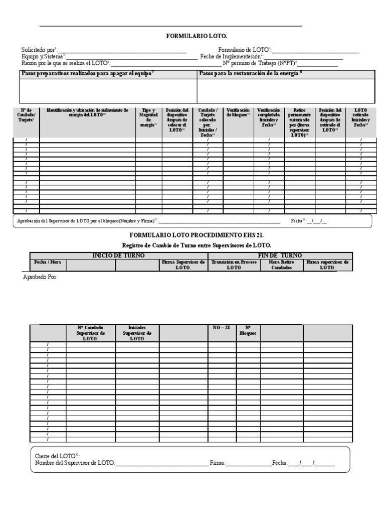 Formula Rio Permiso Loto - V01 | PDF