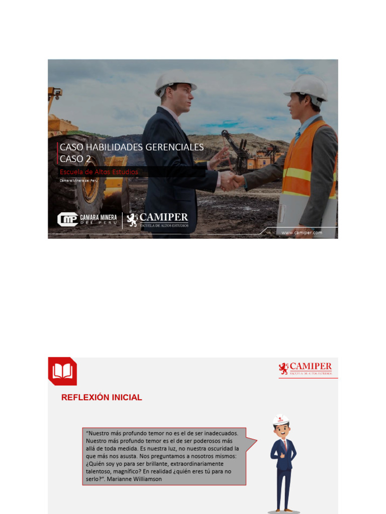 Caso II - Caso HG | PDF | Caballero