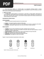 Labeled Anatomy of Sponges Worksheet | PDF | Sponge | Cell (Biology)