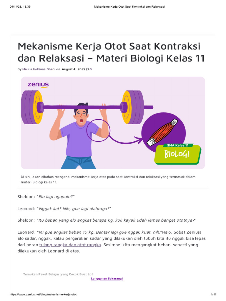 Mekanisme Kerja Otot Saat Kontraksi Dan Relaksasi | PDF